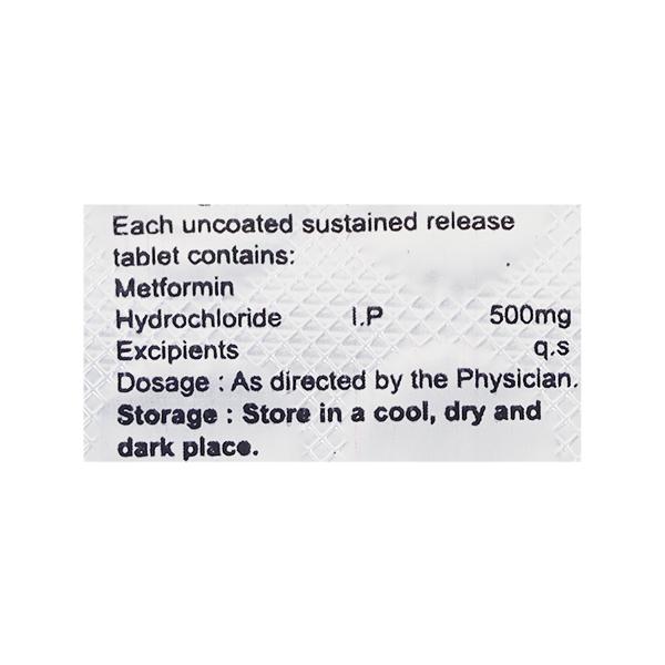 HILMET SR 500mg Tablet 10's : Price, Uses, Side Effects | Netmeds