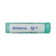 Buy Boiron Belladonna 10M Multi Dose PELLETS 4 GM Online at Discounted ...