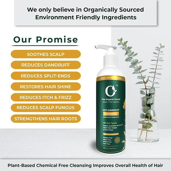 Buy Organic Forest Anti Dandruff Shampoo 200 ml Online at Discounted ...