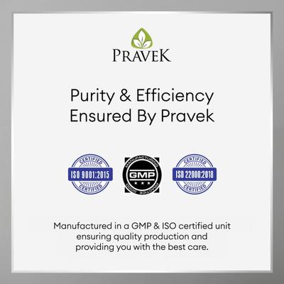 Pravek Shuddha Shilajit Resin Form 20 g