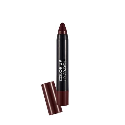 Buy Flormar Color Up Lip Crayon 09 Mauve 3.2 gm Online at Best Price - Lips