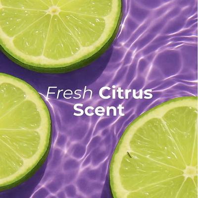 Foxtale Hula Hoop Moroccan Silk Exfoliating Body Scrub 200 gm