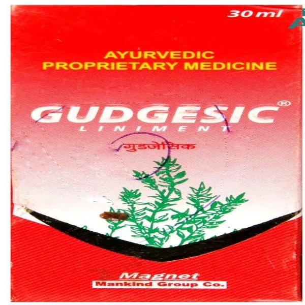 Buy GUDGESIC LINIMENT 30ml Online at Discounted Price | Netmeds