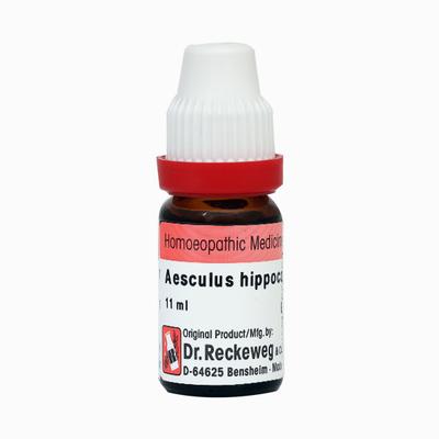 Buy Dr. Reckeweg Aesculus Hip 200 Liquid 11 ml Online at Discounted ...