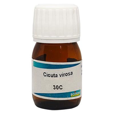 Boiron Cicuta Virosa 30C 20 ml Online at Best Price - Dilutions