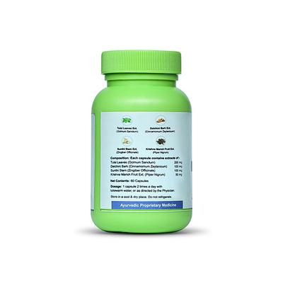 Salveo Life Sciences Salveo Ayush Kwath Capsule 60's