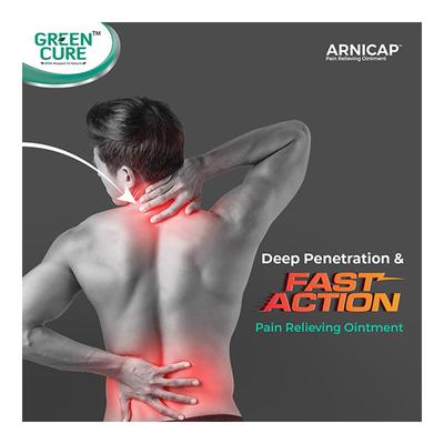 GreenCure ArniCap Pain Relieving Cream 15 gm