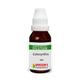 Buy Bakson's Colocynthis 200 CH Liquid 30 ml Online at Best Price ...