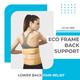 Buy Vissco Eco Frame Back Support (XXL) 1's Online at Best Price ...