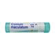 Buy Boiron Conium Maculatum 10M Multi Dose PELLETS 4 GM Online at ...