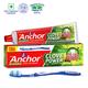 Buy Anchor Clove Power Toothpaste 175 gm Online at Discounted Price ...